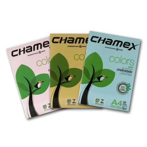 Chamex cores de papel | B2Brazil