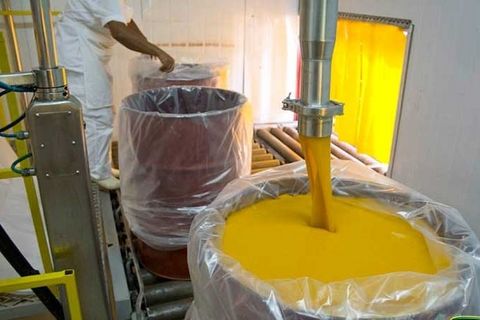 Concentrado de Fruta (FCOJ) | B2Brazil