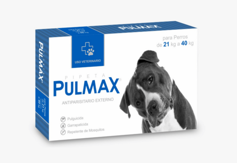 Pulmax pipette 21 to 40 Kg | B2Brazil