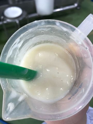 Soursop puree | B2Brazil